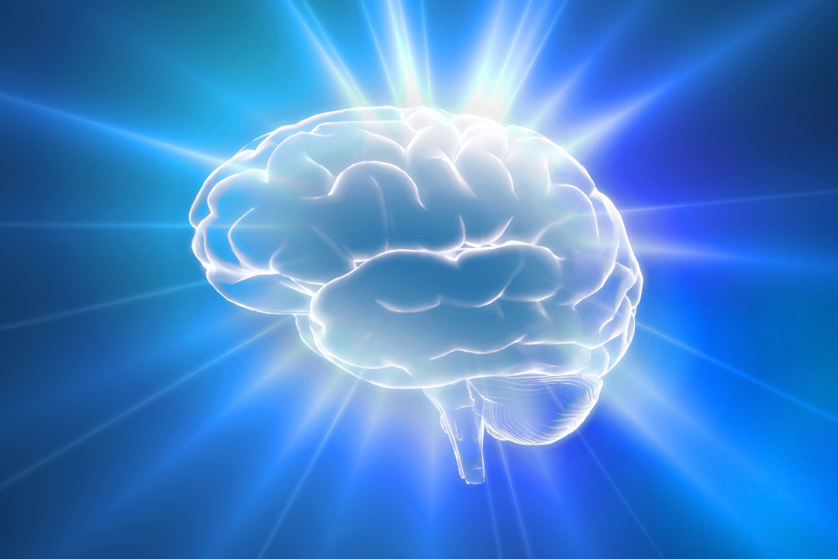 Cerebro Monolingüe vs. Bilingüe: Una Ventana a la Potencia Cognitiva ...